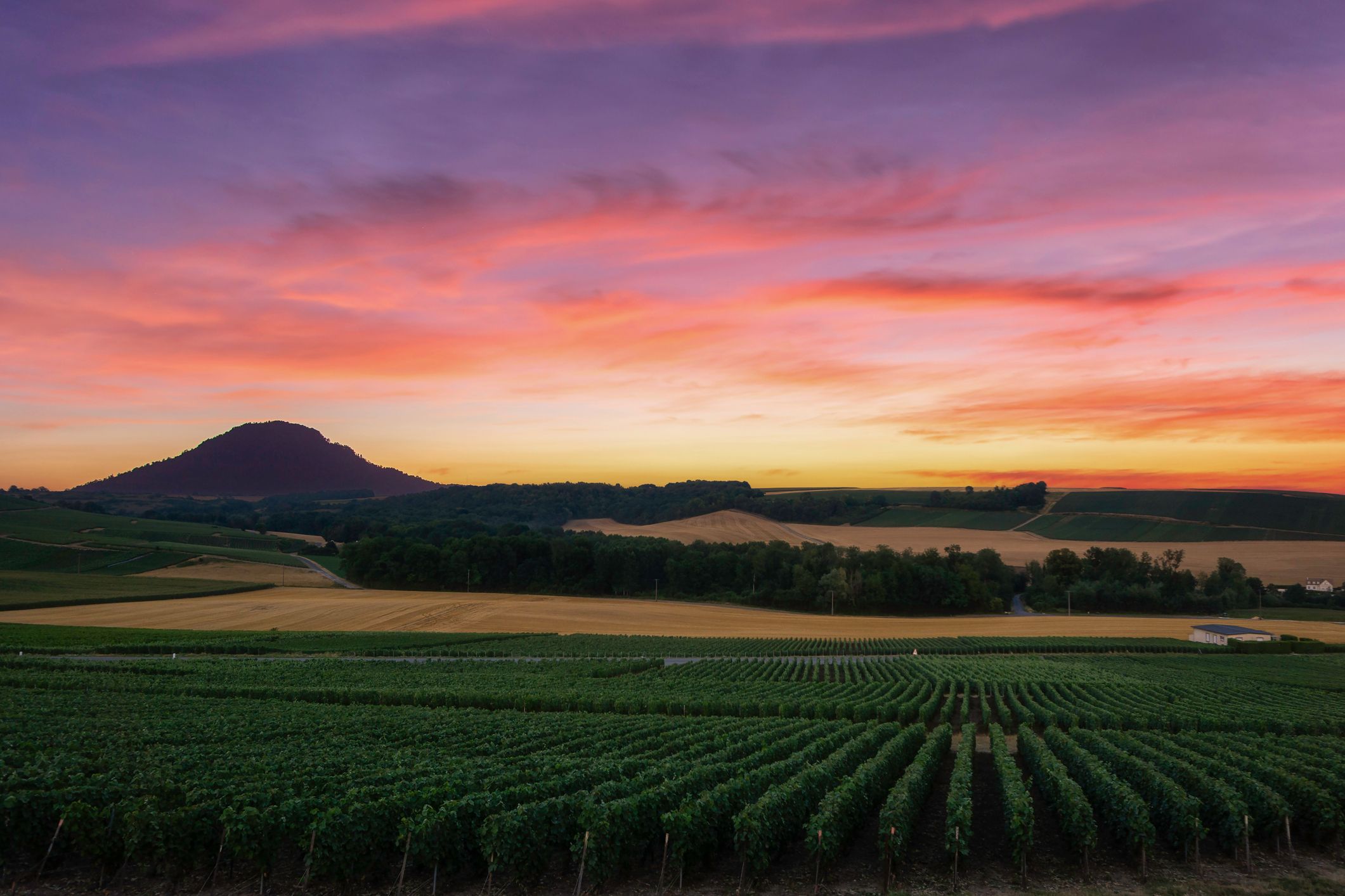 Un grand week-end en Champagne, autour de la Montagne de Reims